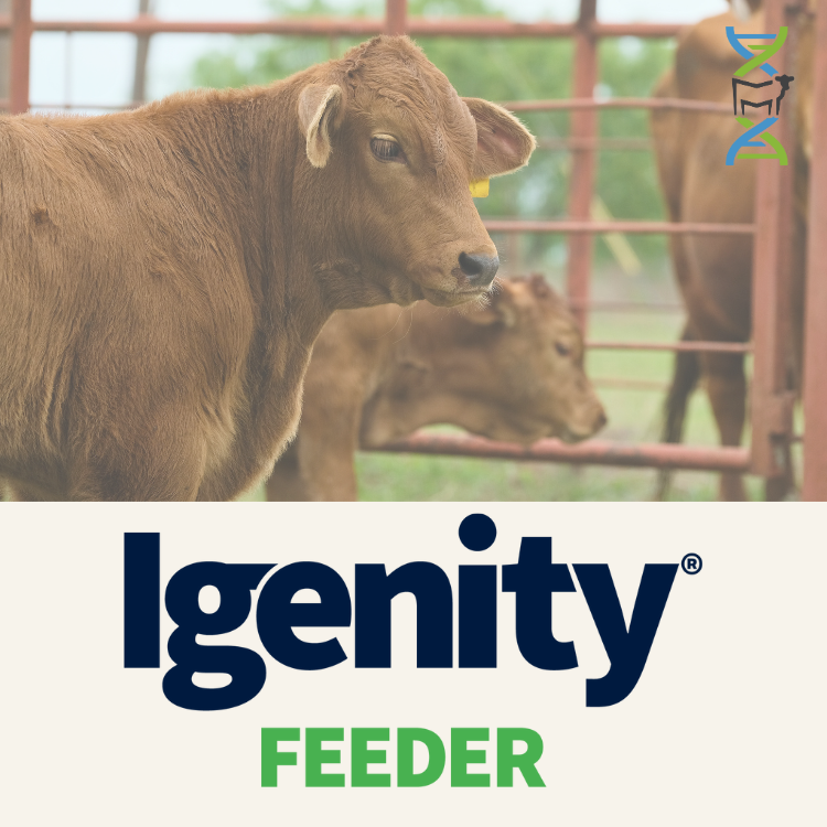 Igenity Profiles – CattleDNA.com
