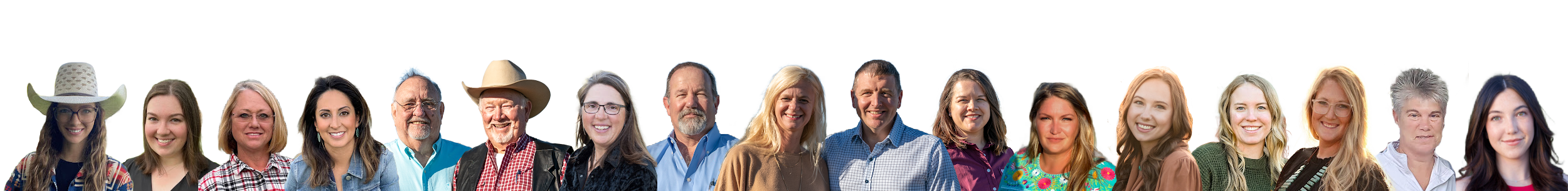 Igenity® Beef Profile Test – CattleDNA.com